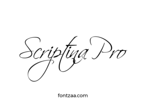 Scriptina Pro Font - Fontzaa - Exclusive Fonts Library